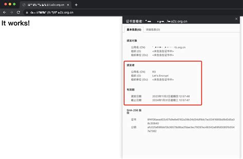 amazon cloudfront 部署小指南（八） 使用中国区 cloudfront 及 cloudfront ssl 插件部署免费证书