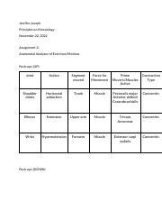 Kin Assignment Pdf Jeniffer Joseph Principles On Kinesiology November Assignment