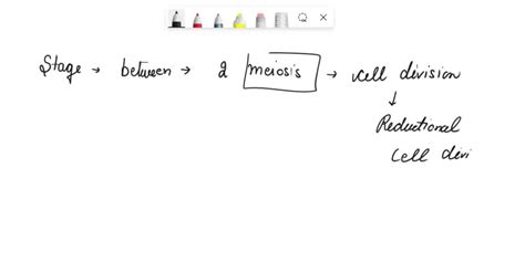 Solved Question 1 1 Point After The Completion Of Meiosis 4 A Cell