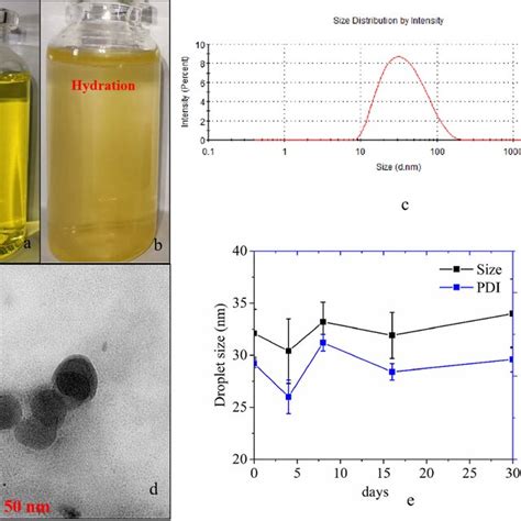 Lipid Packing Around And Inside Pgp The Cytoplasmic Leaflet Lipid