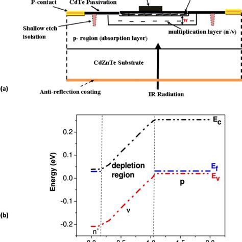 A Schematic Cross Section B Energy Band Diagram Of N υ P Hgcdte Download Scientific