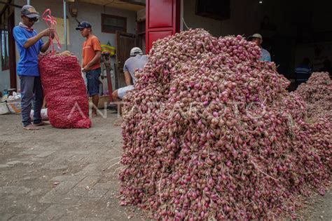 Inflation Figures In East Java Antara Foto