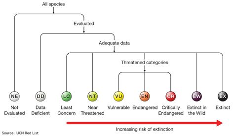 Endangered Species Iucn Conservation Extinction Britannica