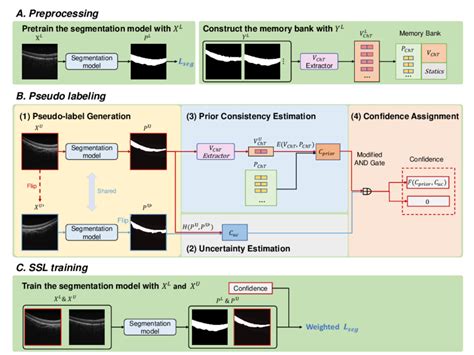 overview of the proposed prior ssl framework x y and p denote the