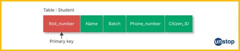 6 Difference Between Primary Key And Unique Key Examples Unstop