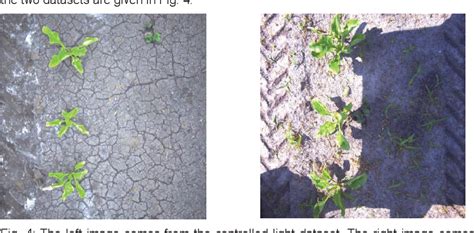Figure 1 From A Robust Plant Localization And Identification System For Precision Farming The