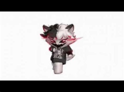 zxc котик танцует 1 час под фотографирую закат | Google images, Image types