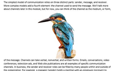 Text Wrap Computer Applications For Managers