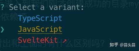 【svelte从入门到精通】入门篇——安装与使用 知乎