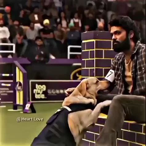 Mohammed Rafi J On Linkedin Trust