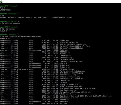 Utiliser Cygwin Pour Passer Des Commandes Linux Dans Windows 10