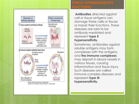 Type Iv Hypersensitivity Reactions PPTX