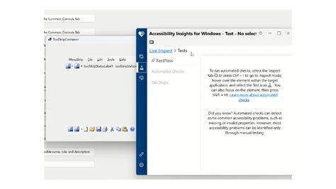 A11ynet Corewinformstoolstripcontainerbottomtool Barai4d Incorrect Name Property Is