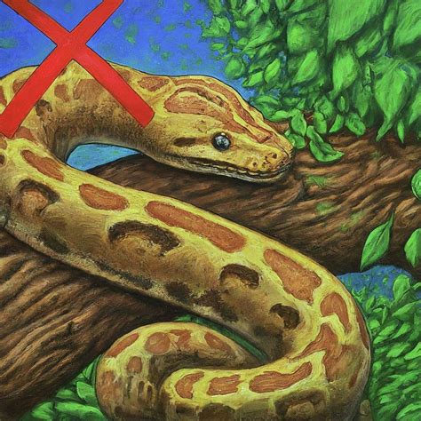 Super In Python Oops Rushi Aadepu Posted On The Topic Linkedin