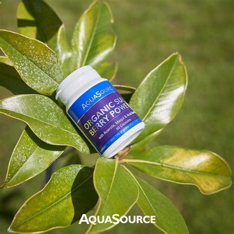 Aquasource Нашата Органична Супер Плодова енергия С е една от най добрите хранителни добавки