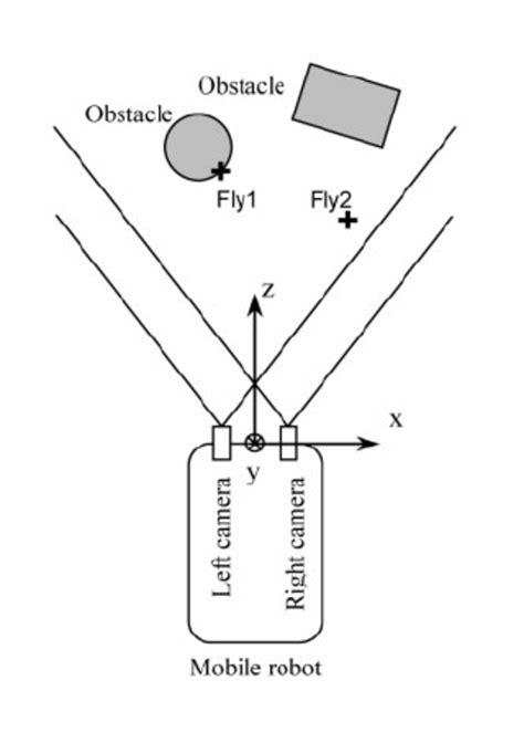 Example Of Device Using The Fly Algorithm Showing Two Flies From The