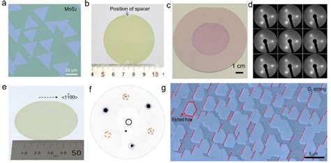 The Wafer Scale Growth Of Mos 2 And Ws 2 By Cvd Method A B 2 Inch Download Scientific Diagram