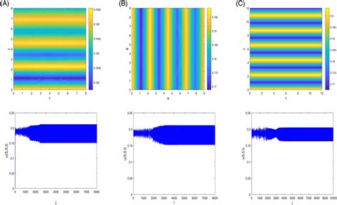Formation Of Oscillatory Pattern Of System 13 In Two‐dimensional