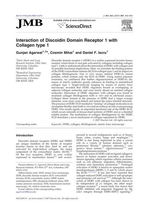 Pdf Interaction Of Discoidin Domain Receptor 1 With Collagen Type 1