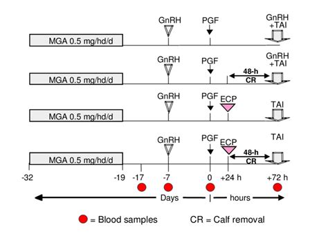 Experimental Design Of Synchronization Protocol Download Scientific
