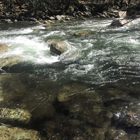 Simon Carpenter Youtube