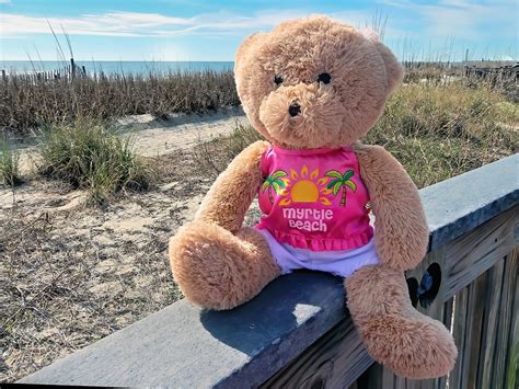 Bear Teddy Free Photo On Pixabay Pixabay