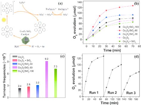 A A Schematic Process Of Visible Light Driven Oxygen Evolution In The