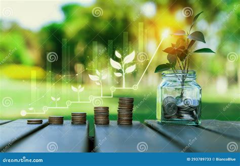 Growing Coin Stack And Tree Planted Inside Money Saving Jar Reliance
