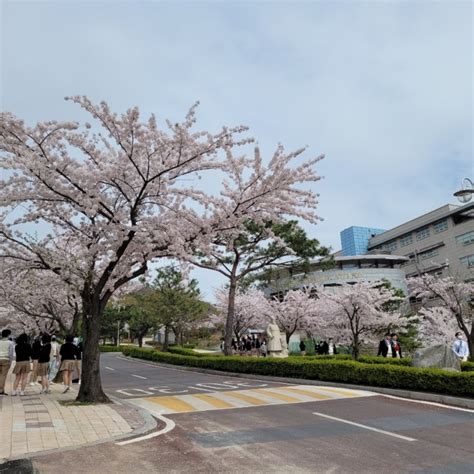 결혼 준비 4 스튜디오 웨딩 촬영 준비 ② 야외 커플 스냅사진 촬영하기허그라피 네이버 블로그