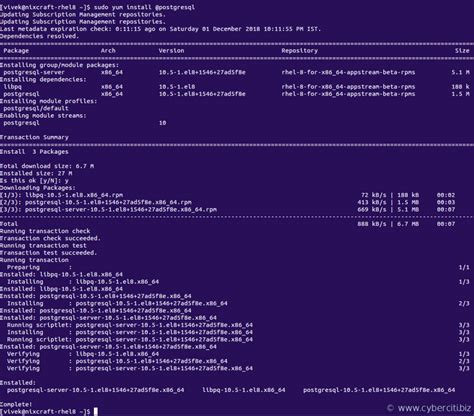 How To Install And Setup Postgresql On Rhel 8 Nixcraft Wiredgorilla