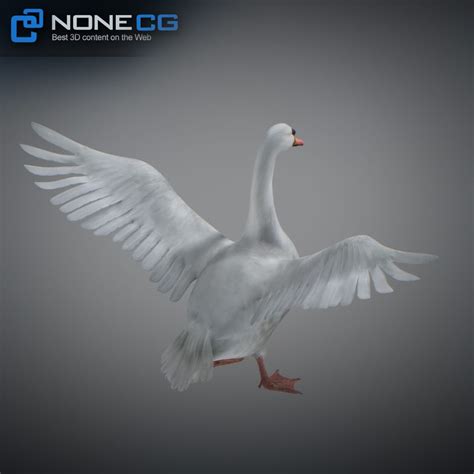3d Animated Swan Download And Buy 3d Profestionnal Models On