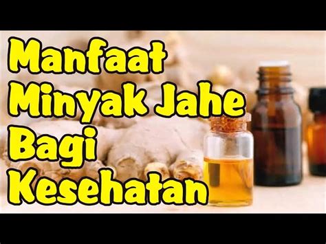 Temukan Manfaat Minyak Jahe yang Jarang Diketahui - Biotifor