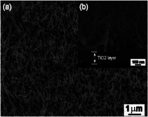 Recent Advances In Syntheses Properties And Applications Of Tio2 Nanostructures Pmc