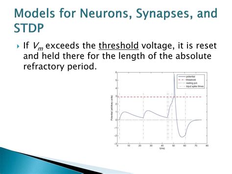 PPT STDP Spike Timing Dependent Plasticity PowerPoint Presentation ID