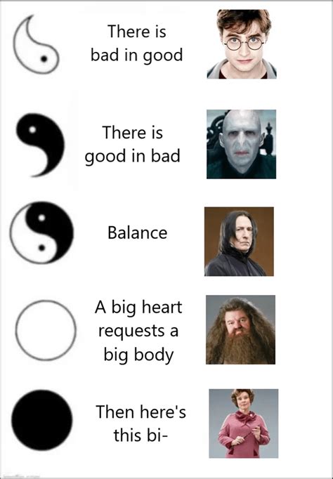 Yin Vs Yang Meme Rharrypottermemes