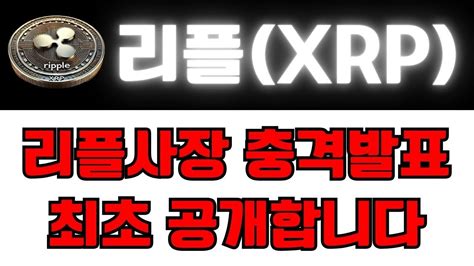 리플 리플사장 모니카롱 충격발표 리플 리플코인 암호화폐 Youtube