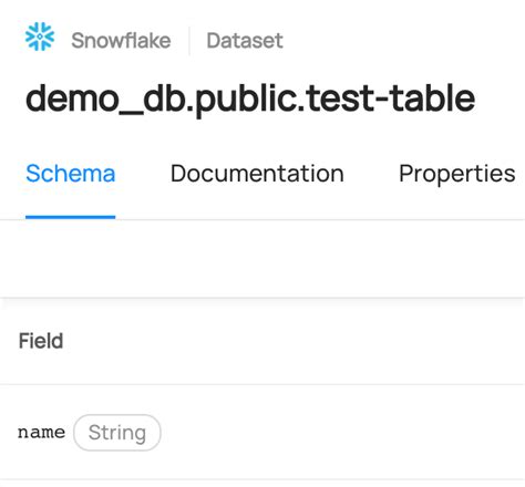 Snowflake Ingestion Errors For Tables In Schema With Non Standard Names