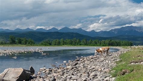 Сокровища Восточной Сибири Иркутск Аршан Тункинская долина и Ольхон 🧭 цена тура 41500 руб