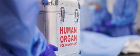 Heart Transplant Recipient Abandons Her Healthy Liver In Historic First : ScienceAlert