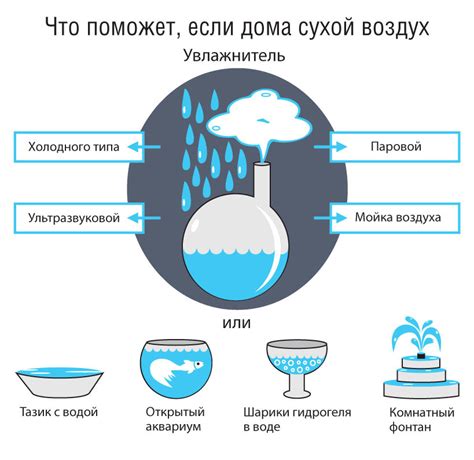 Какая влажность воздуха должна быть в квартире - нормы: зимой, летом ...