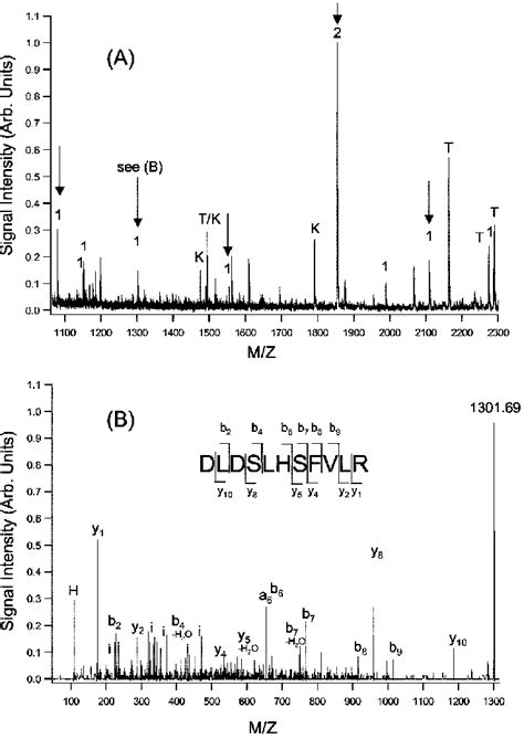 Maldi Ms And Ms Ms Spectra Of Erp46 A Maldi Ms Spectrum Of The In Gel Download Scientific