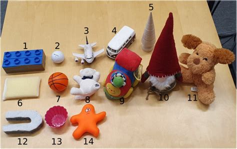 The 14 Individually Numbered Objects Used In The Real Experiment The