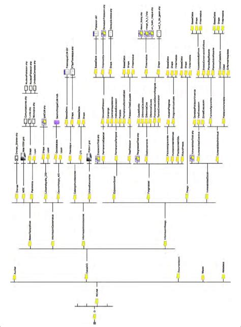 tree diagram of the folders subfolders and files with the information