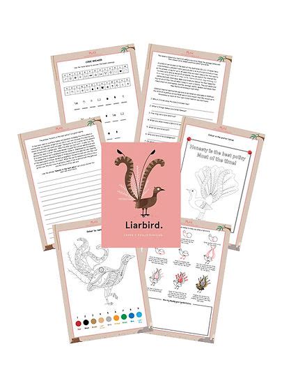 Liarbird Book Activities