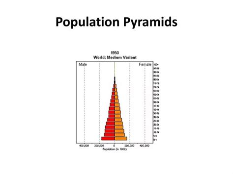 Ppt Population Pyramids Powerpoint Presentation Free Download Id