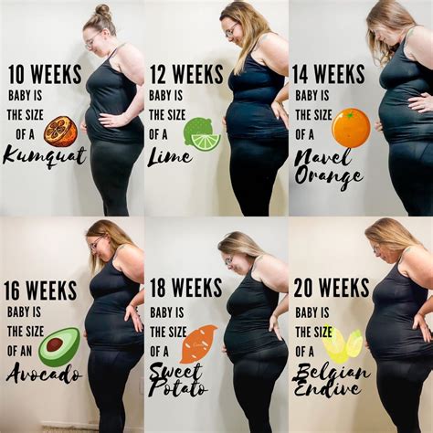 Plus Size Pregnancy Photos