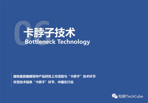 植物基因编辑育种