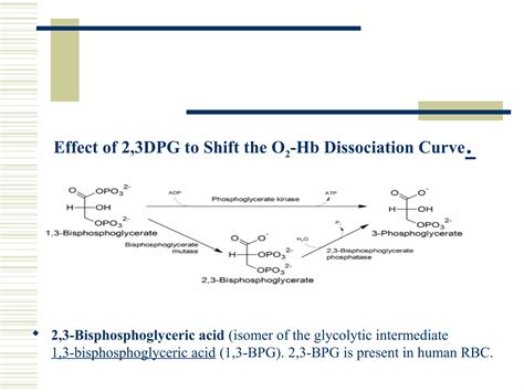 Physiology Of O2 Transport And O2 Dissociation Curve Ppt Lung And