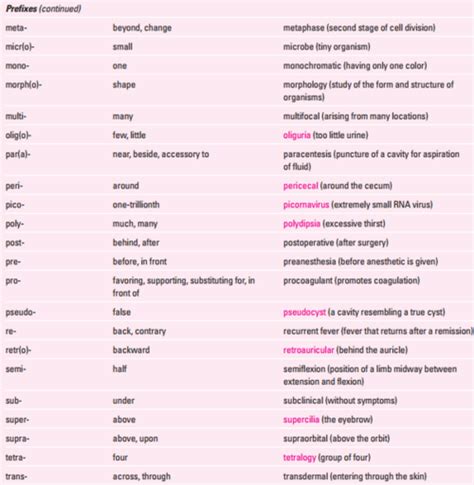 Learning Medical Terminology Tumbex