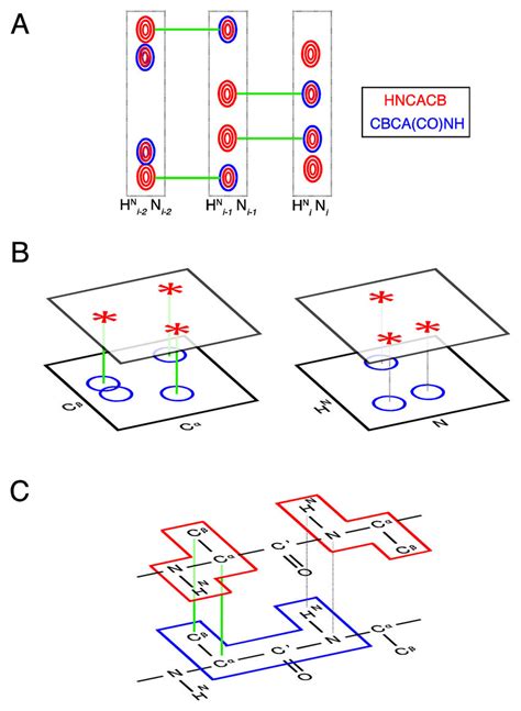 the use of correlations for nmr backbone resonance assignment peaks and